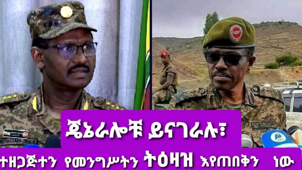 ጄኔራሎቹ ይናገራሉ|| “ተዘጋጅተን የመንግሥትን ትዕዛዝ እየጠበቅን ነው።” (ጄ/ል ብርሃኑ ጁላ) – Adebabay ...